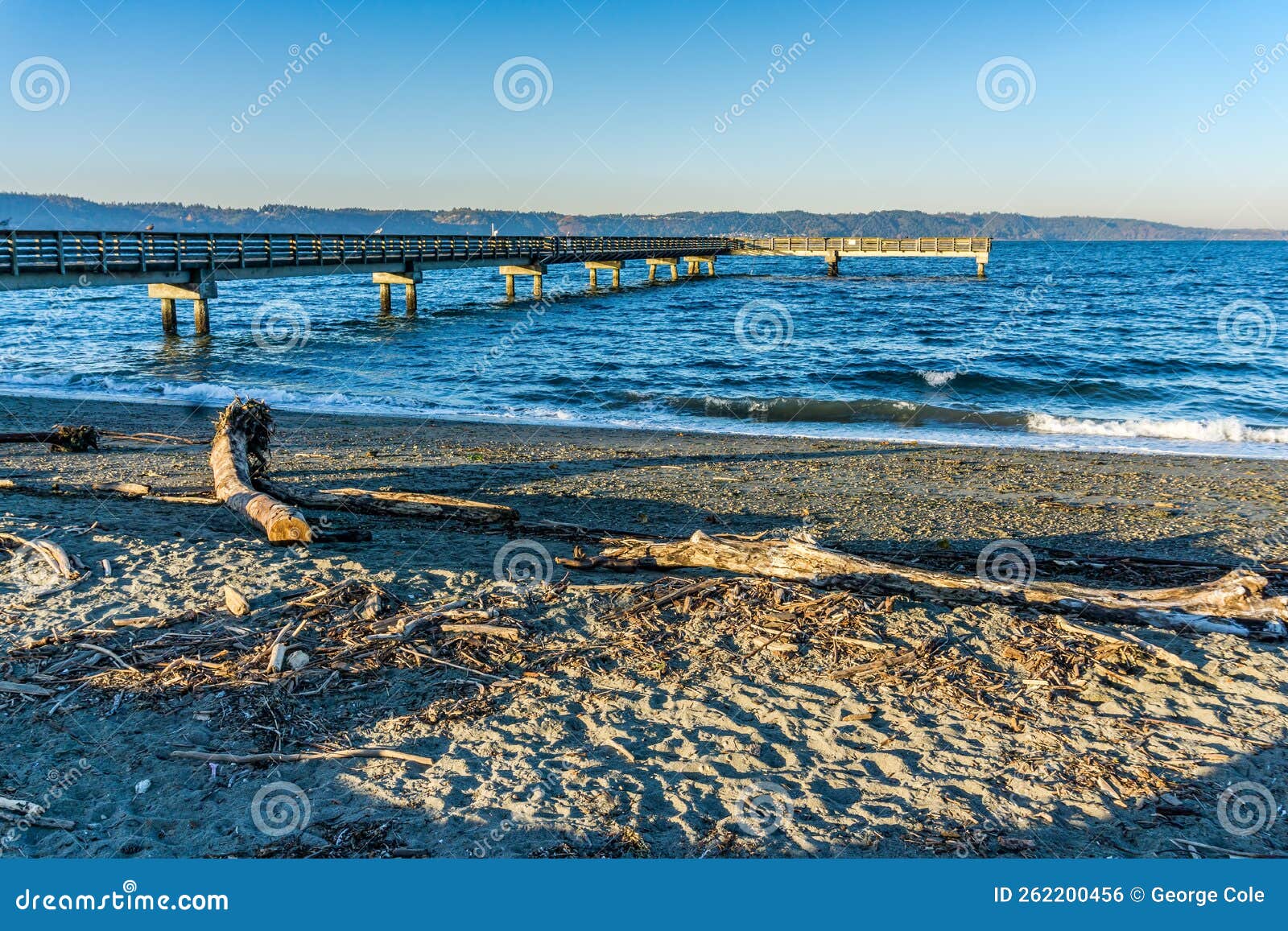 Empty Pier at Dash Point 3 stock photo. Image of water - 262200456