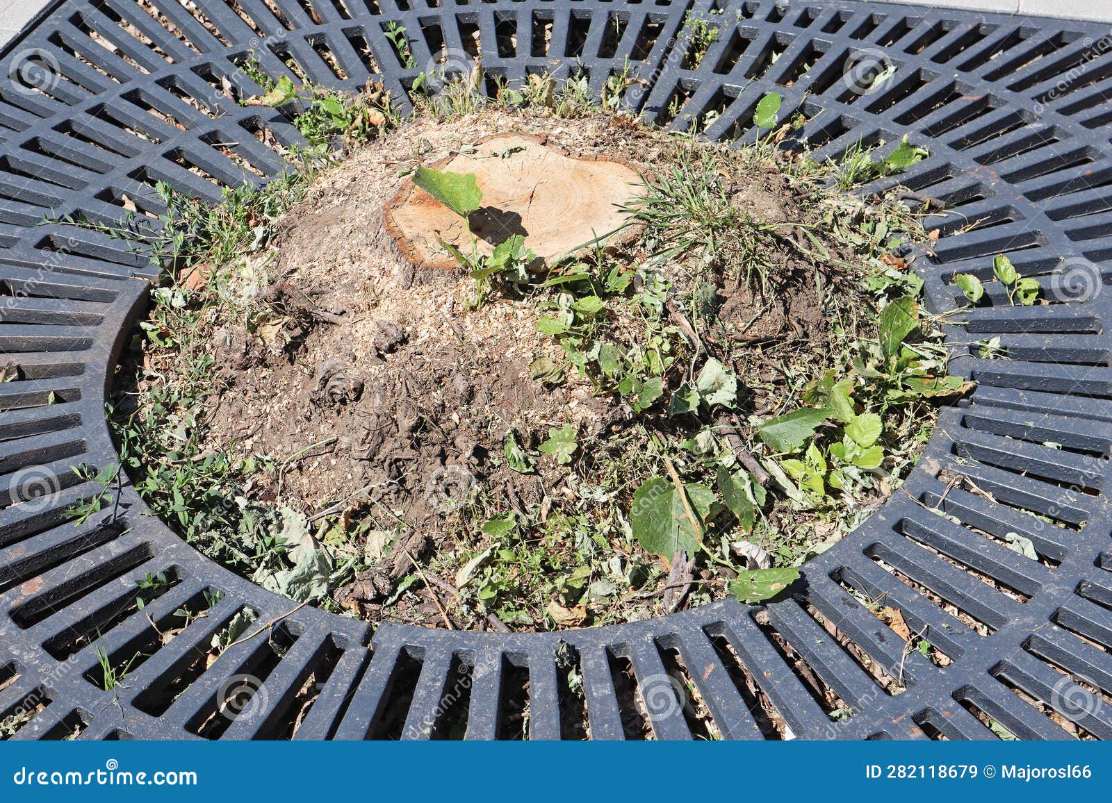 Empty Place of a Cut-out Tree on the Street Stock Image - Image of ...