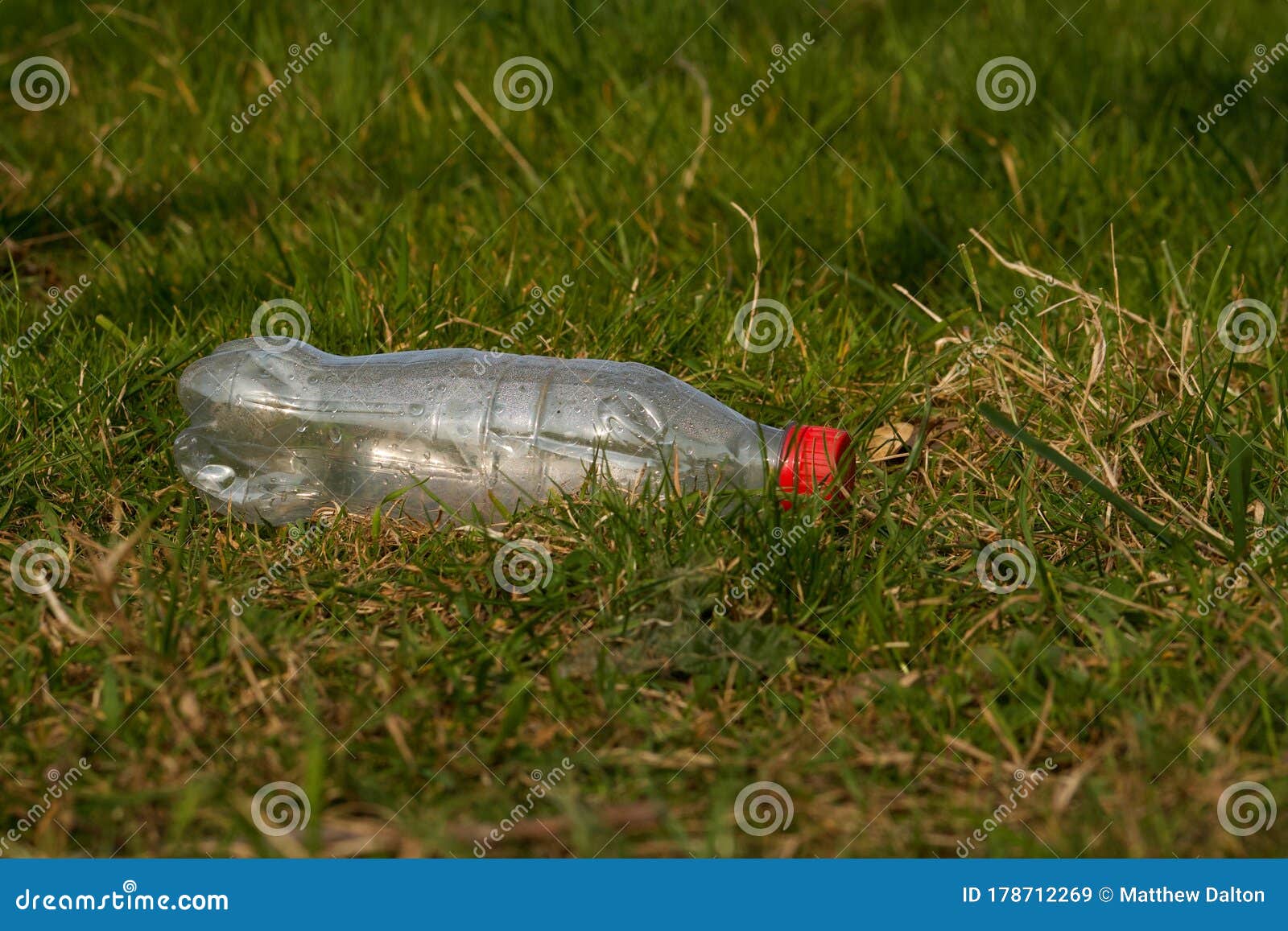 An Empty Plastic Bottle in a Field Stock Image - Image of notes ...