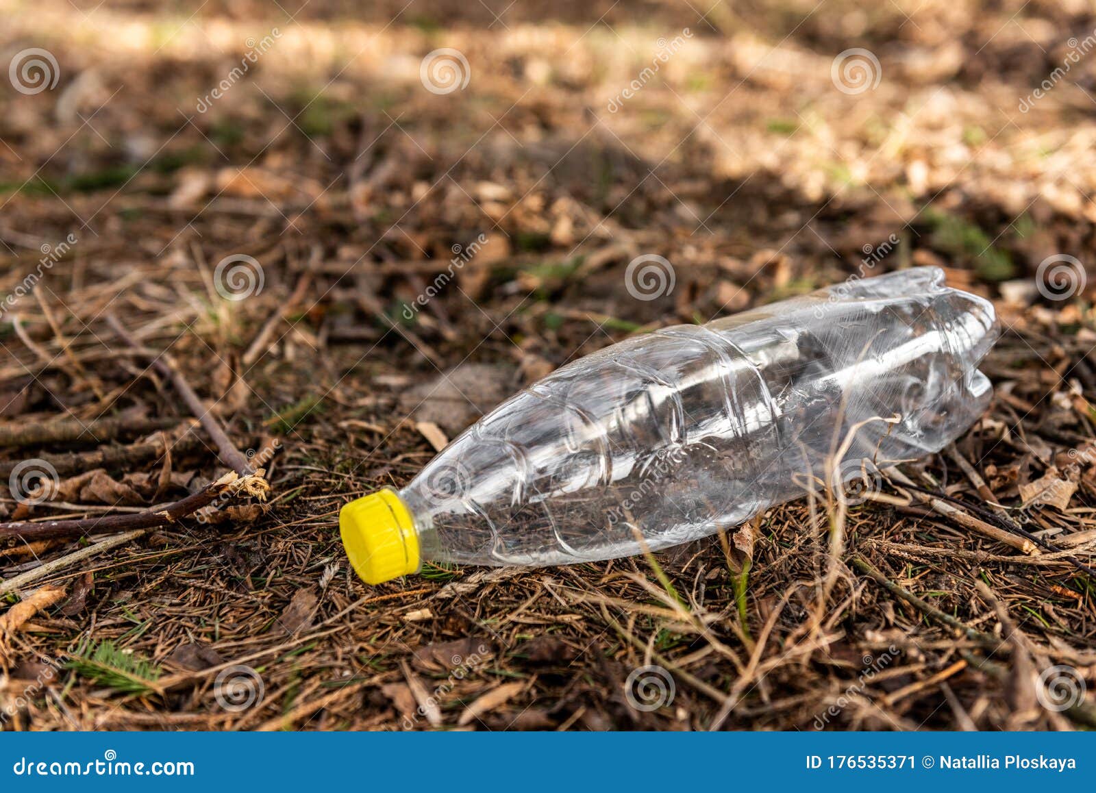 Empty Plastic Bottle on Ground Stock Image - Image of garden, dirt ...