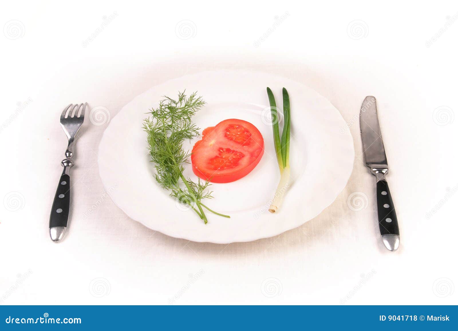 Almost empty plate stock photo. Image of cutlery, cooking - 9041718