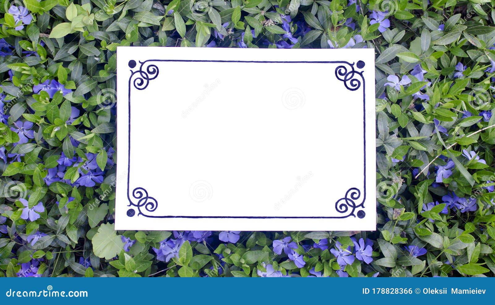 Bionic Surface Freeform Natural Soil Texture Stock Photography ...