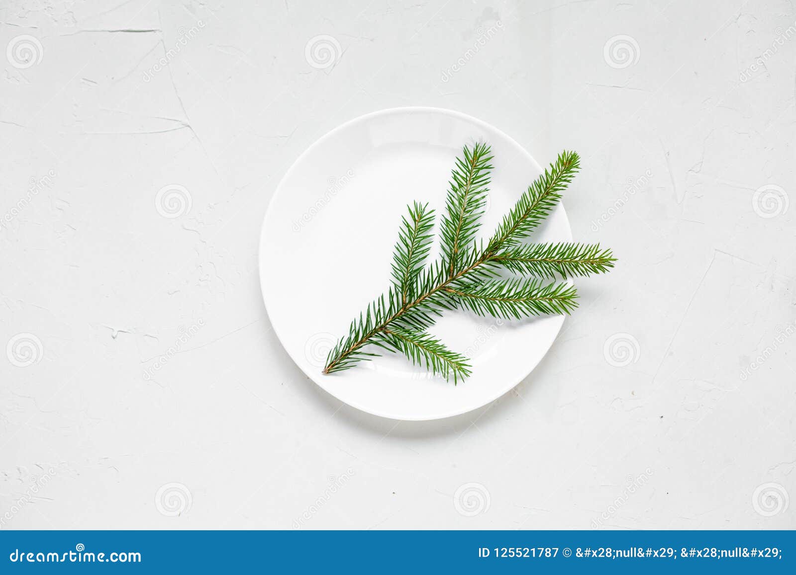 A Plate with a Fir Tree Branch, Top View Stock Image - Image of lunch ...