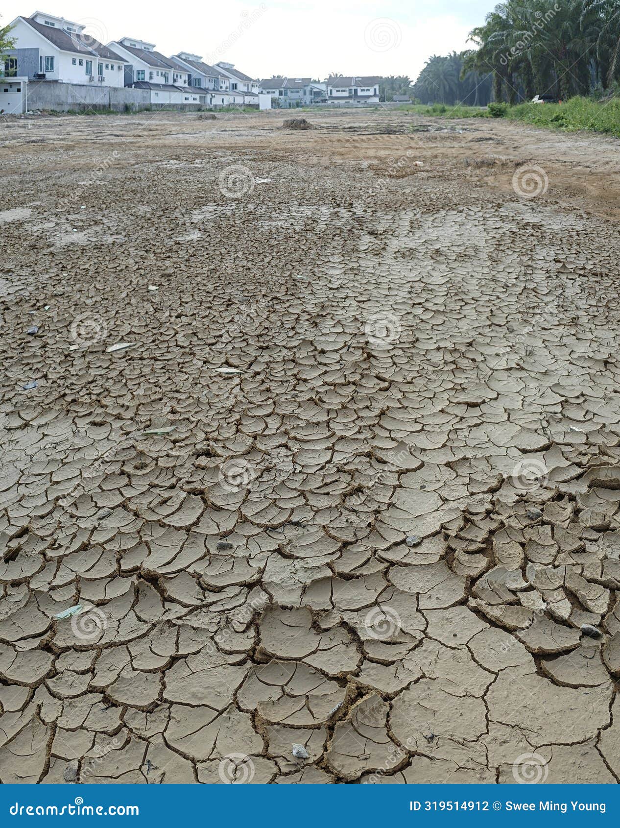 An Empty Plot of Land Scene Besides a Residential Row of Houses. Stock ...