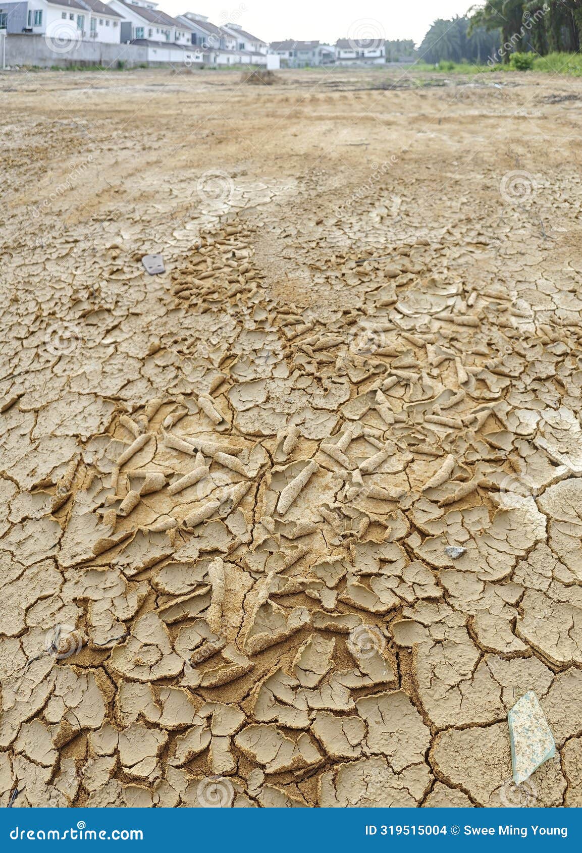 An Empty Plot of Land Scene Besides a Residential Row of Houses. Stock ...