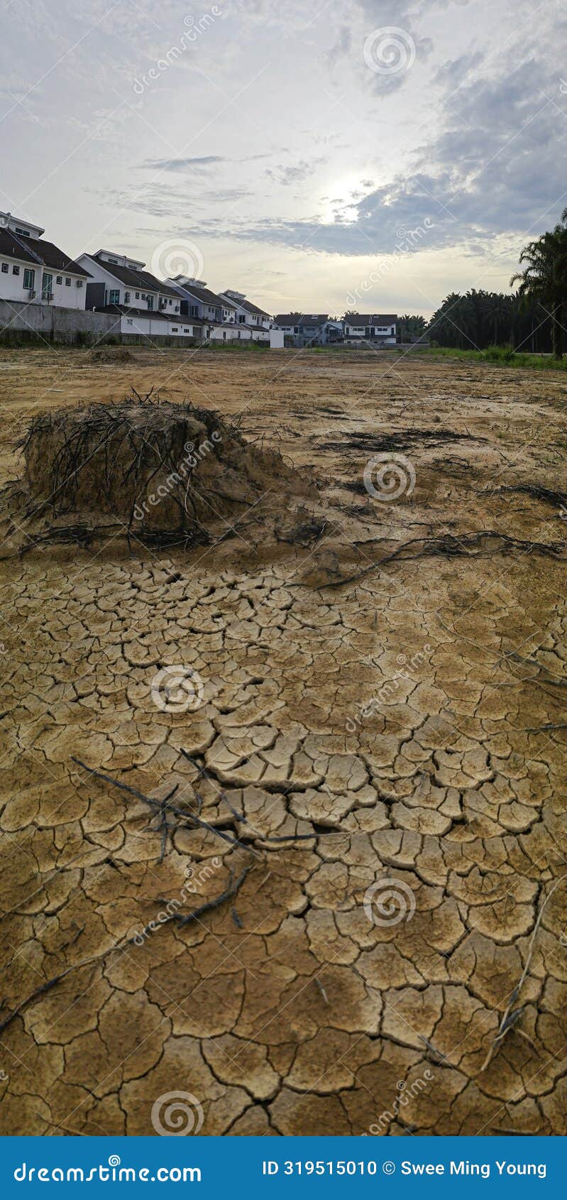An Empty Plot of Land Scene Besides a Residential Row of Houses. Stock ...