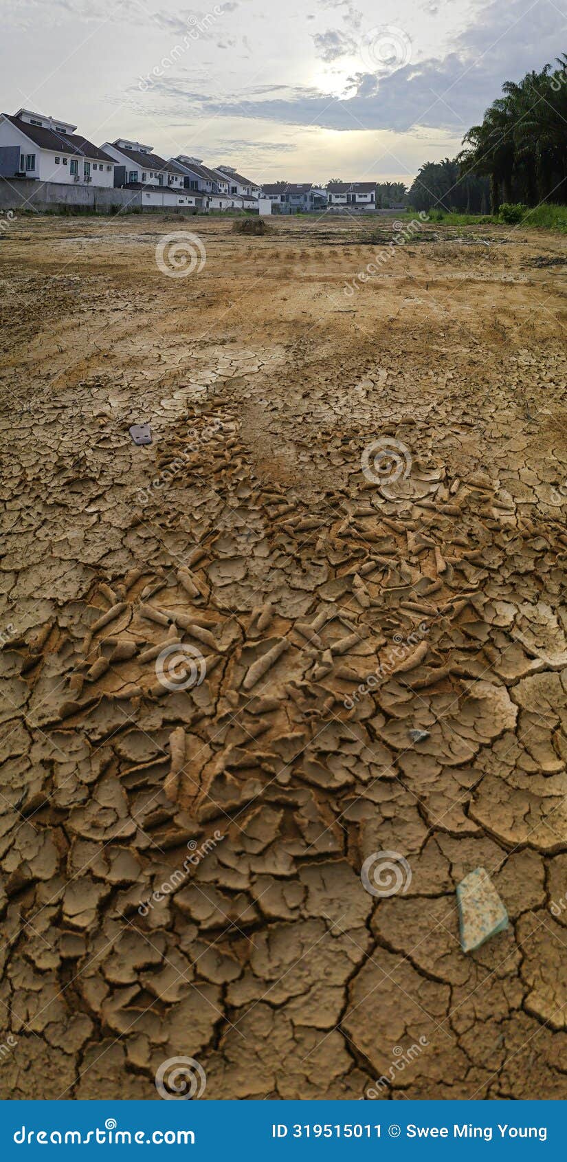 An Empty Plot of Land Scene Besides a Residential Row of Houses. Stock ...