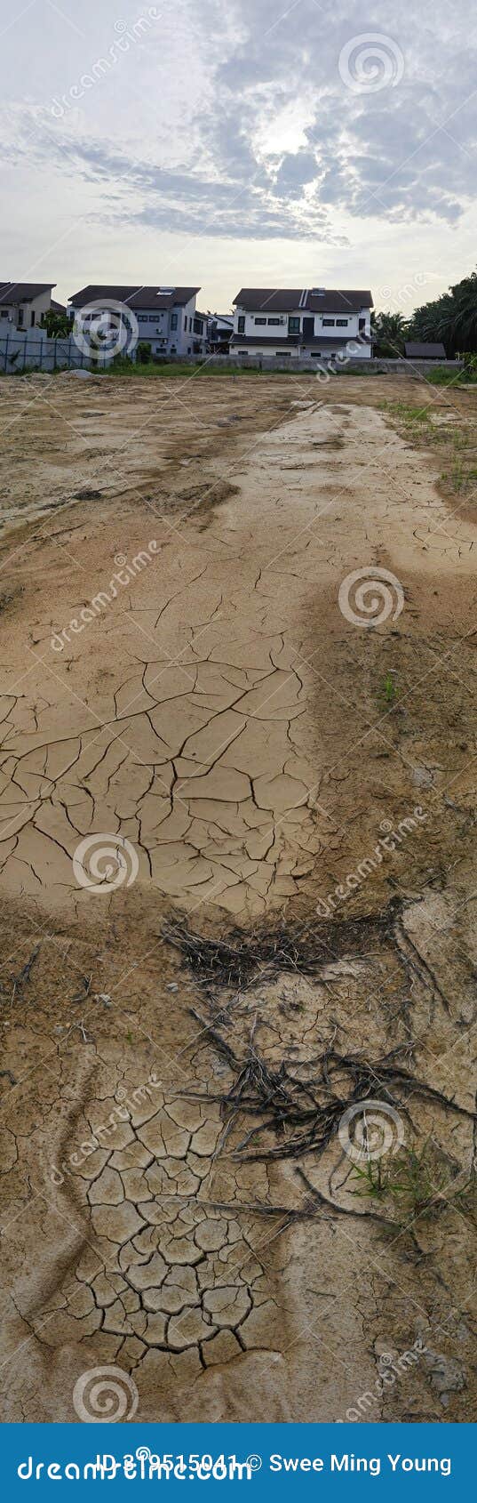 An Empty Plot of Land Scene Besides a Residential Row of Houses. Stock ...