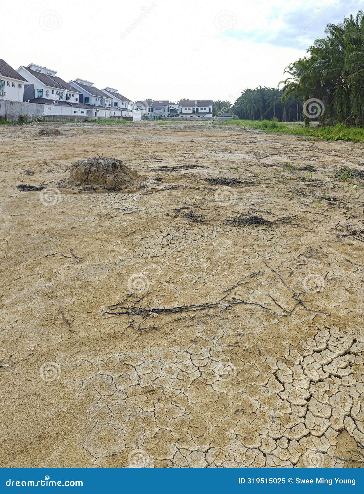 An Empty Plot of Land Scene Besides a Residential Row of Houses. Stock ...