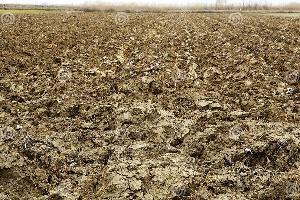 Empty plowed field stock image. Image of landscape, furrow - 206779123