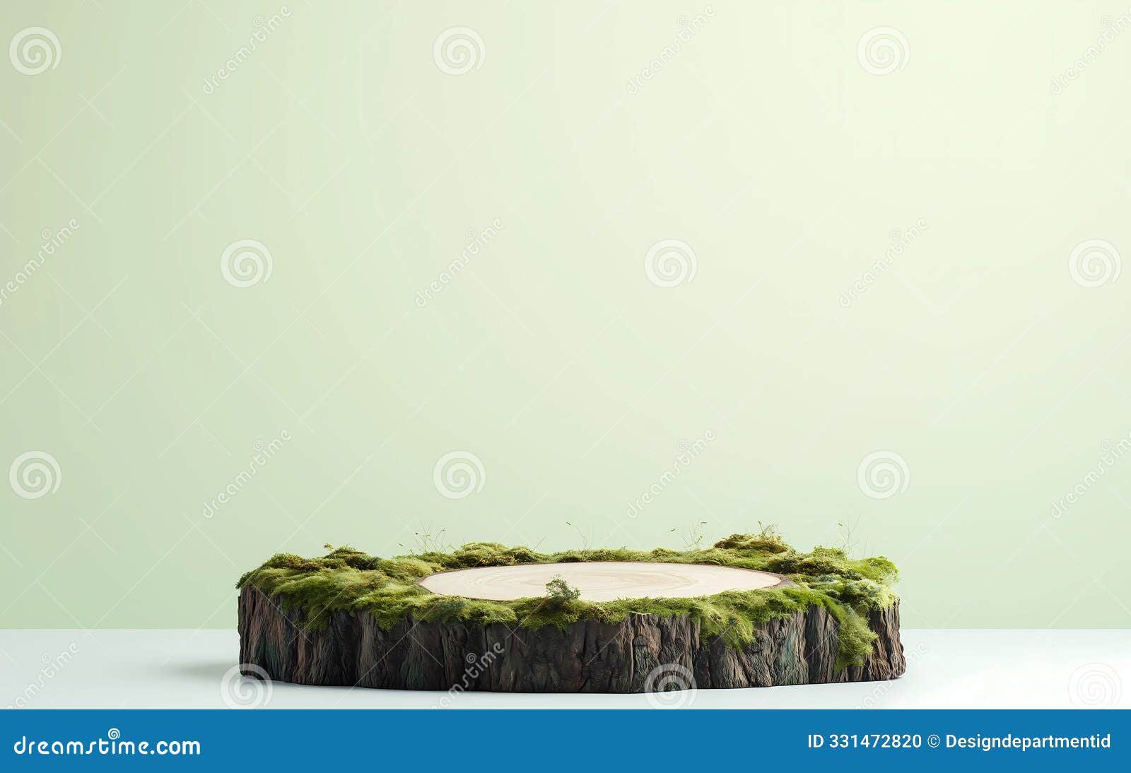 Stump Covered With Moss Among Bare Roots, Fallen Leaves And Blades Of ...