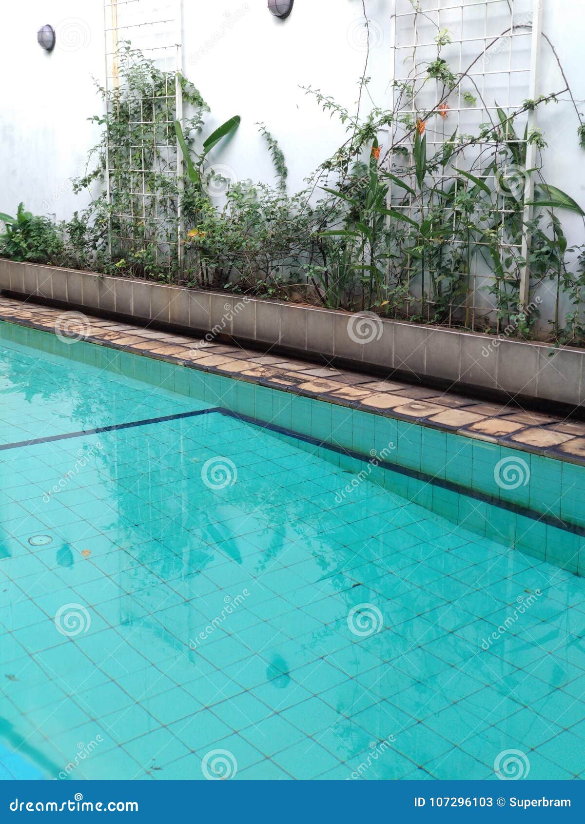 Empty Pool stock image. Image of swimming, water, pool - 107296103