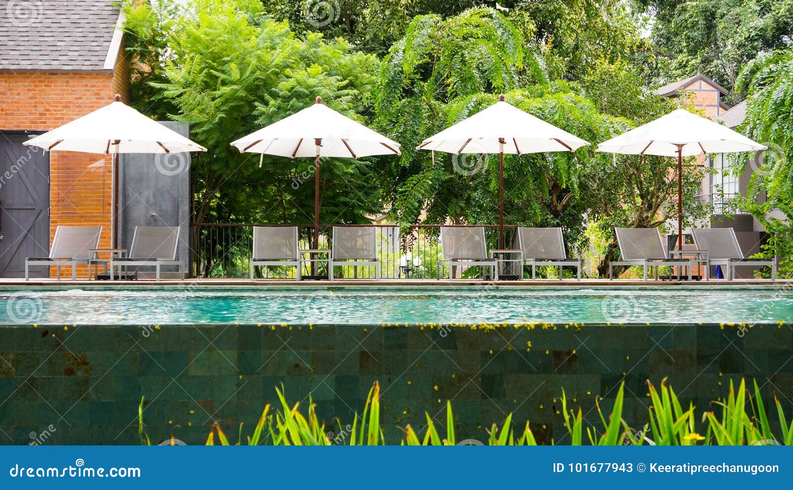 Empty Poolside Loungers with Umbrellas Stock Image - Image of ...