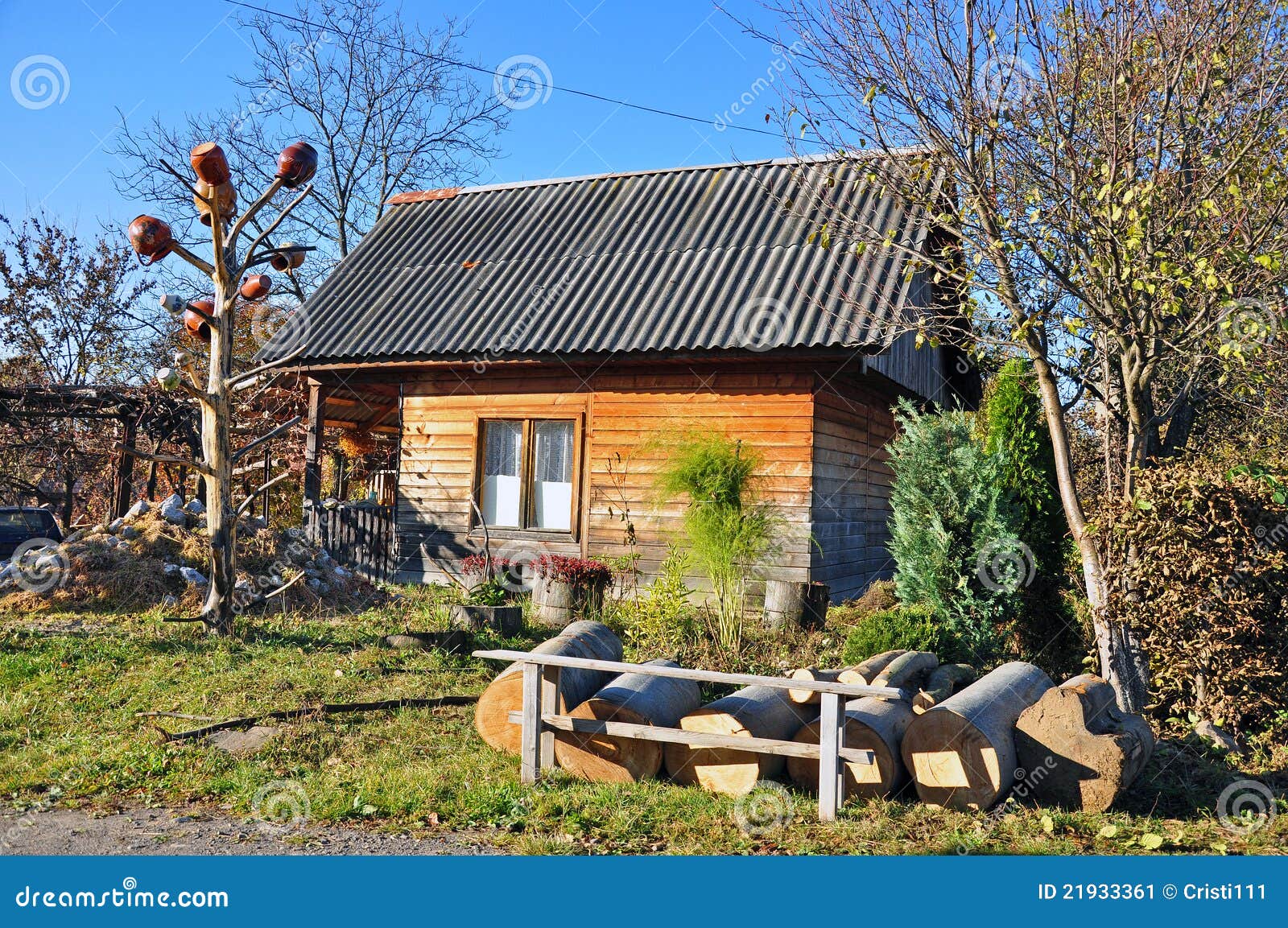 Empty pots in the tree stock image. Image of maramures - 21933361