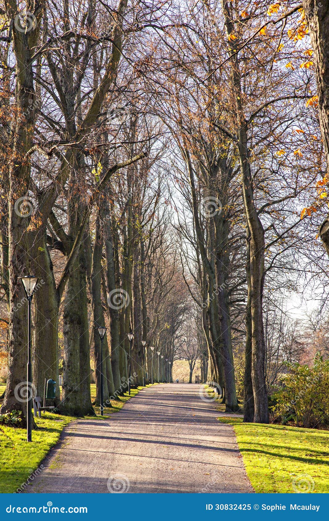 Empty public park stock image. Image of parkland, garden - 30832425