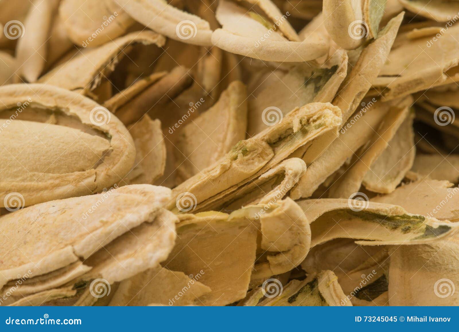 Empty pumpkin seed shells stock image. Image of agriculture - 73245045
