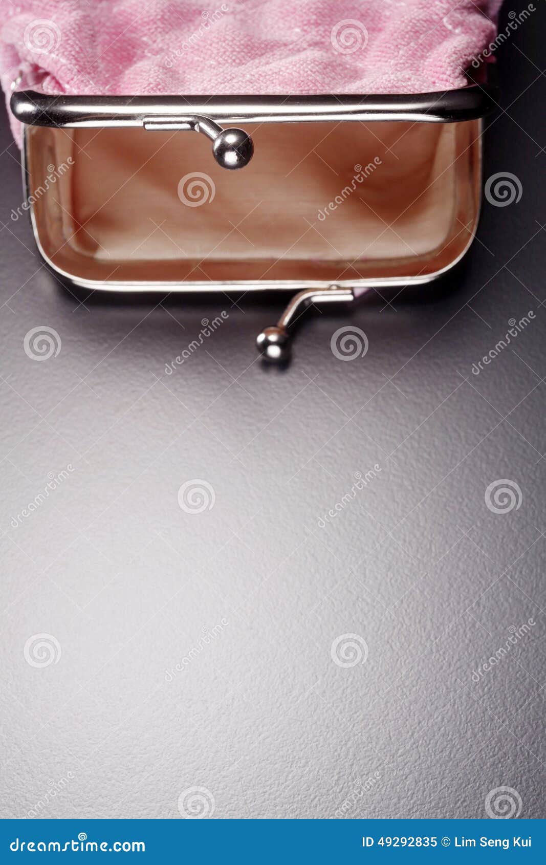 Empty purse stock image. Image of vertical, object, life - 49292835