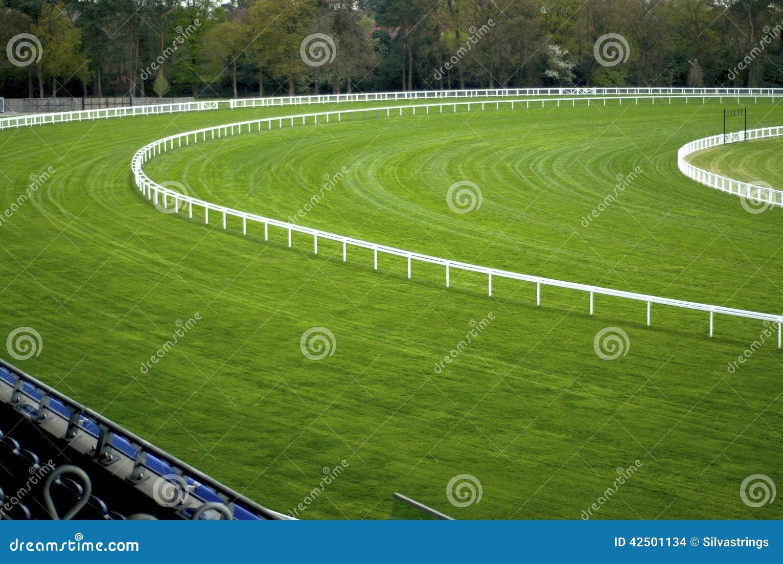 Empty Racecourse stock photo. Image of ascot, field, trees - 42501134