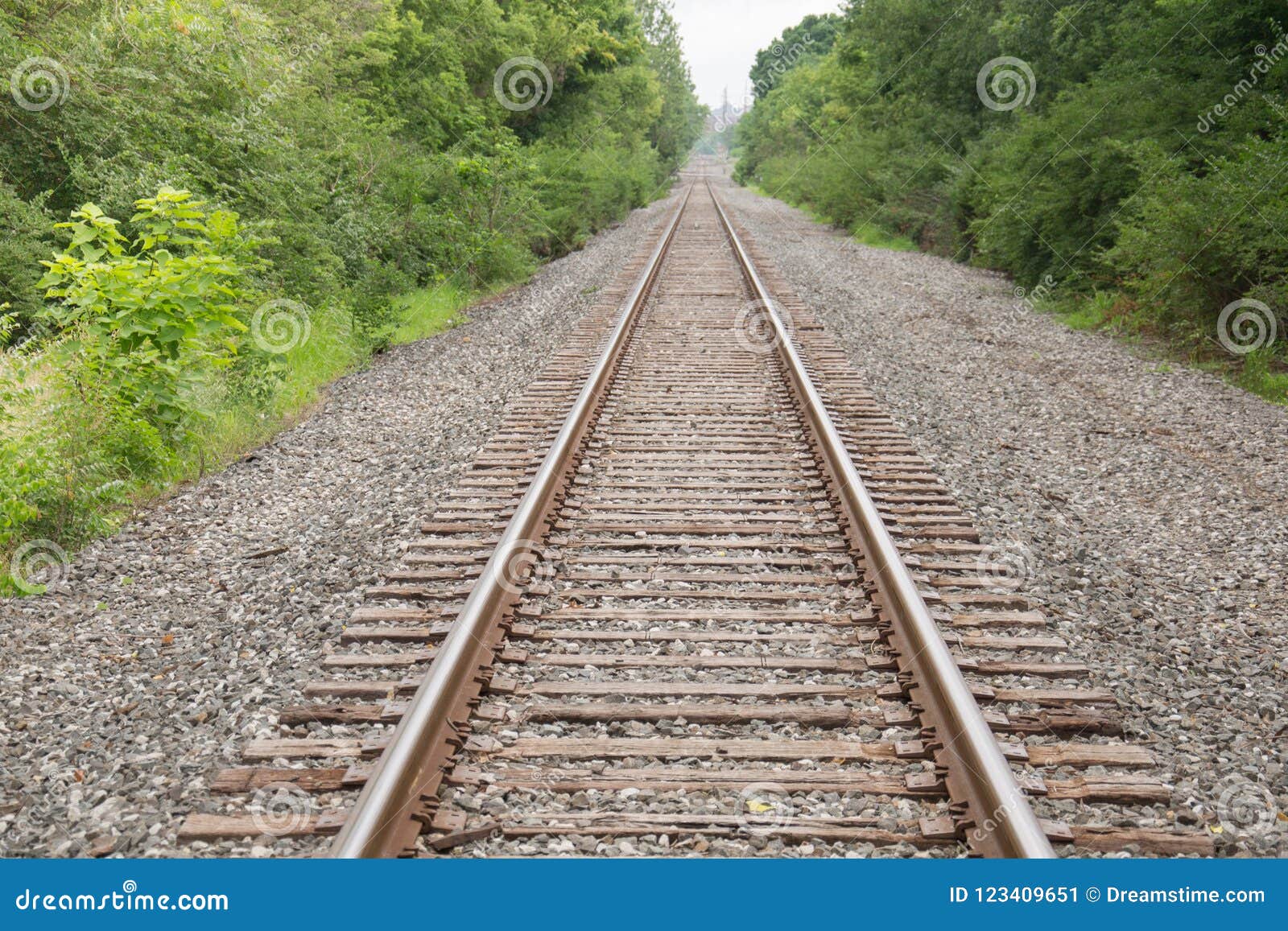 Empty Railroad At Night. Red And Green Traffic Lights. Stock Photo ...
