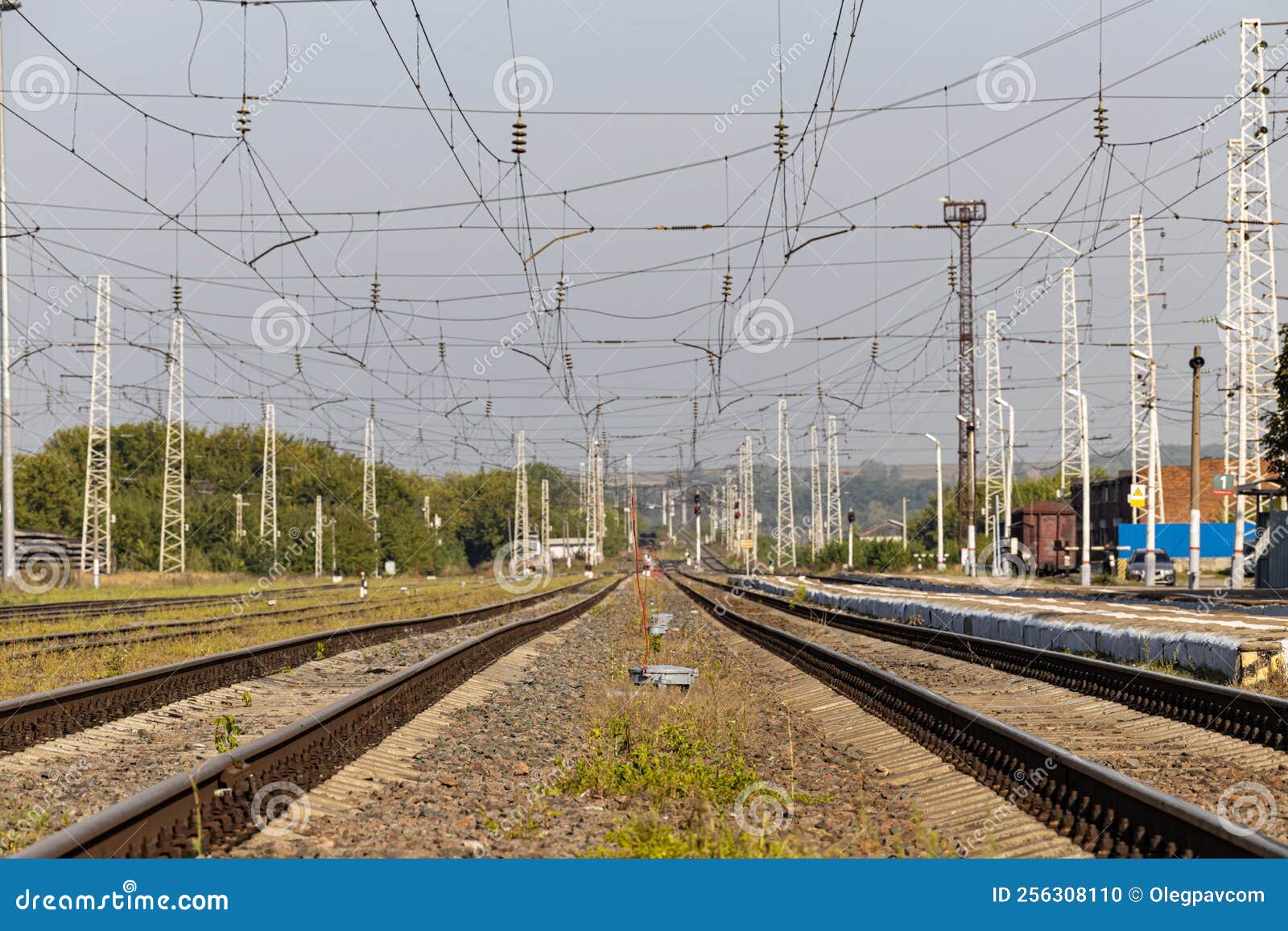 Empty Railroad Tracks Going into the Distance Stock Photo - Image of ...