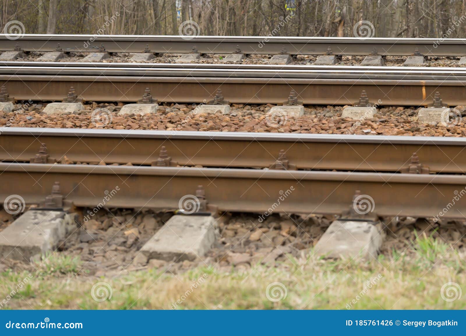 Empty Railroad Tracks, Sleepers on the Background of Trees Stock Photo ...