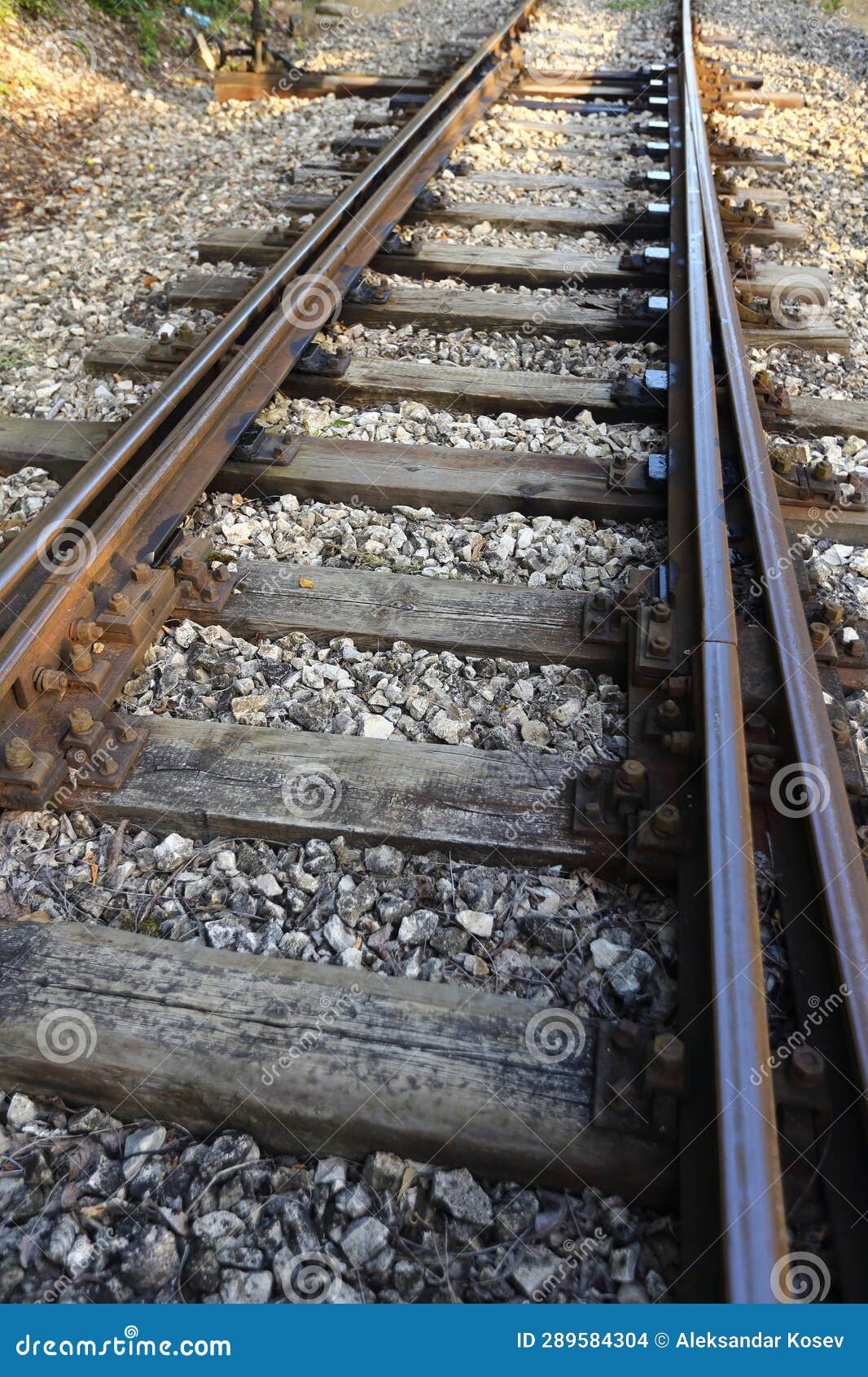 Empty railroad tracks stock photo. Image of tracks, track - 289584304
