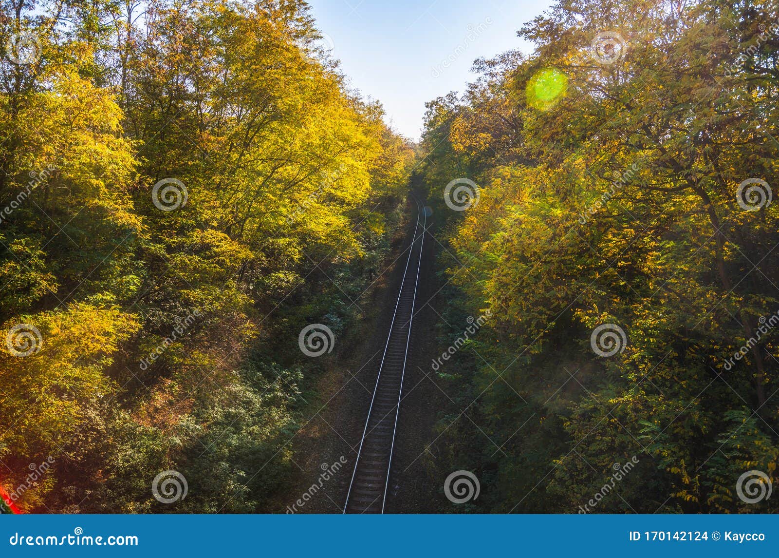 Railway In The Forest, Summer In The Rainforest Stock Photography ...