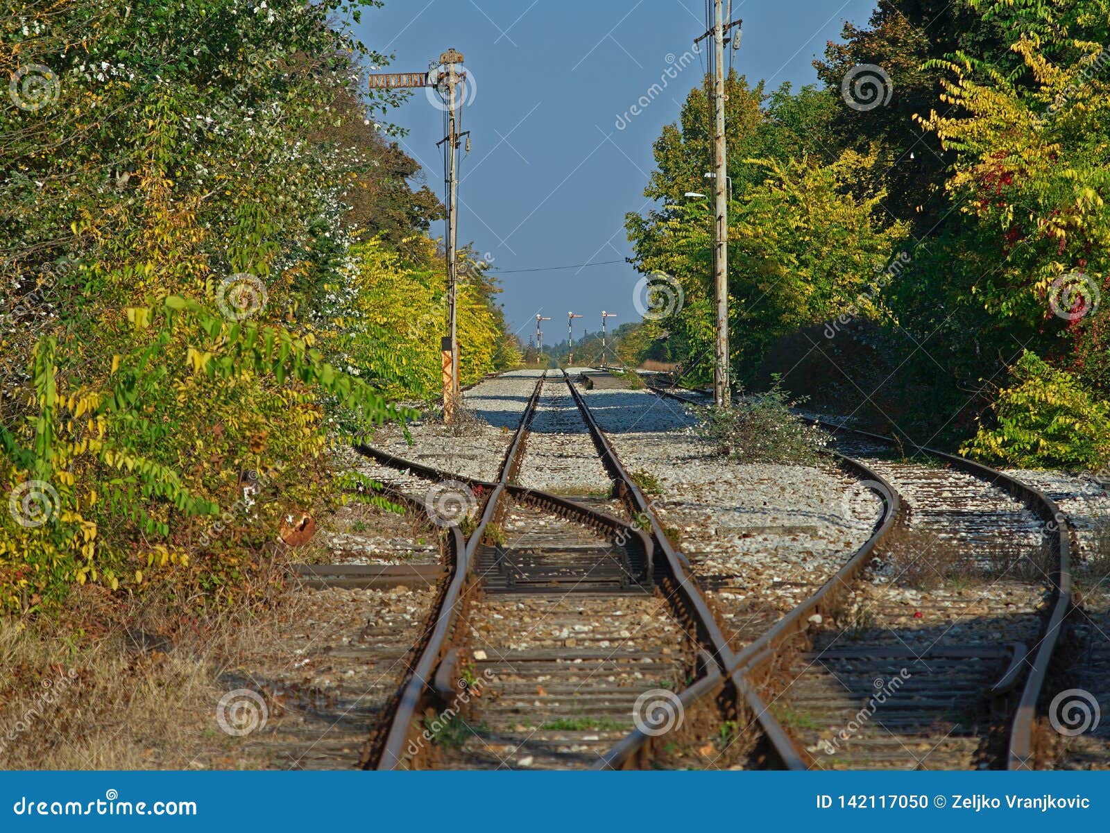 Empty Railway Tracks with Greenery on Both Sides Stock Photo - Image of ...