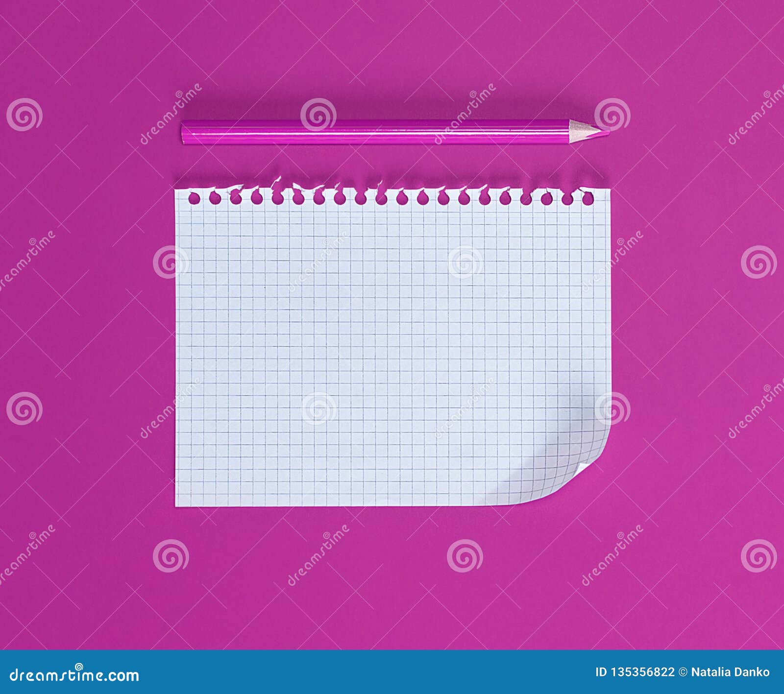 Empty Rectangular White Sheet Torn Out of Notepad Stock Photo - Image ...