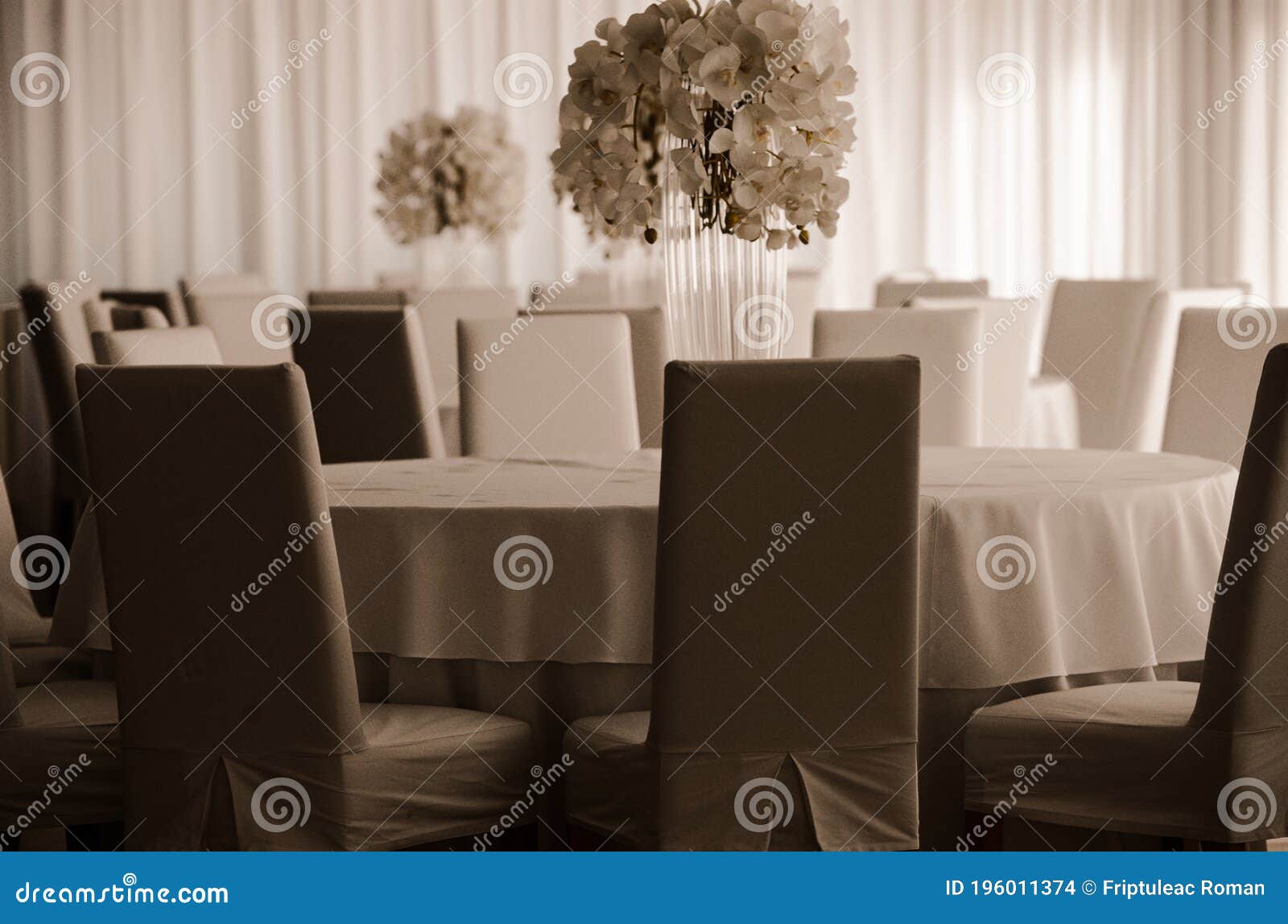 Empty Restaurant Luxury Interior. Stock Photo - Image of food, dine ...
