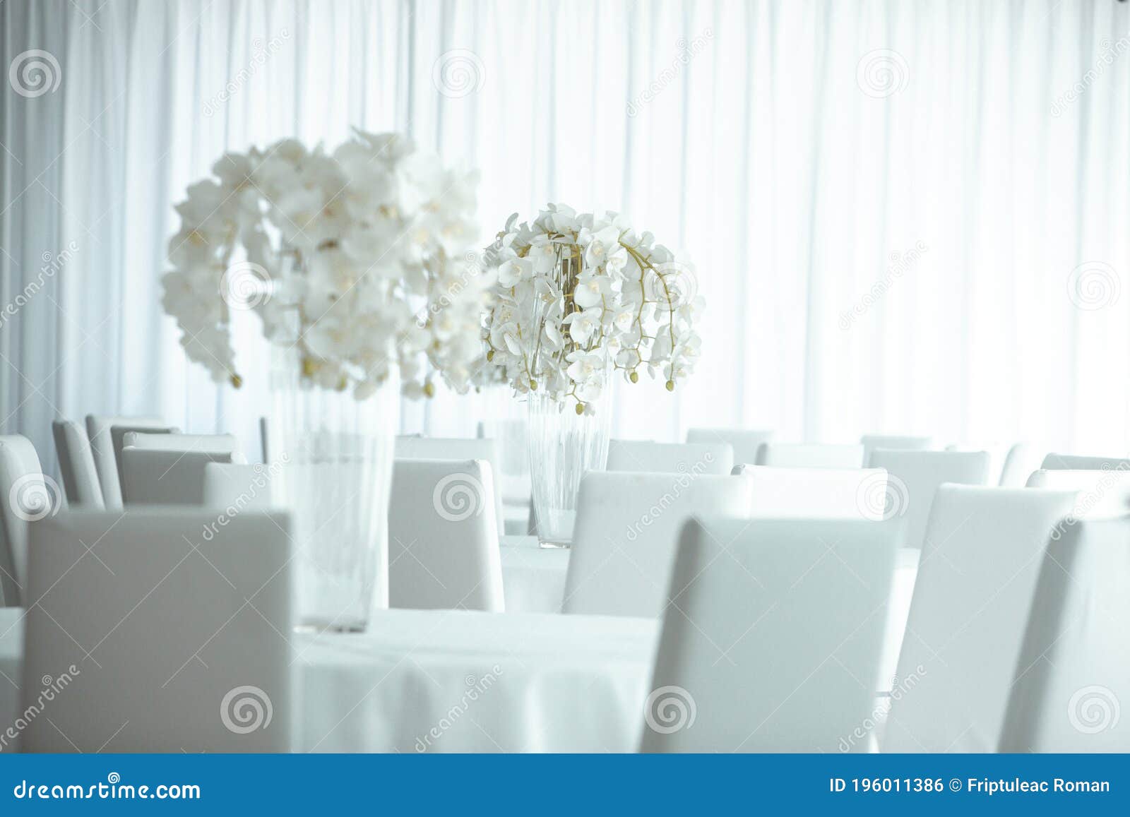 Empty Restaurant Luxury Interior. Stock Photo - Image of interior ...