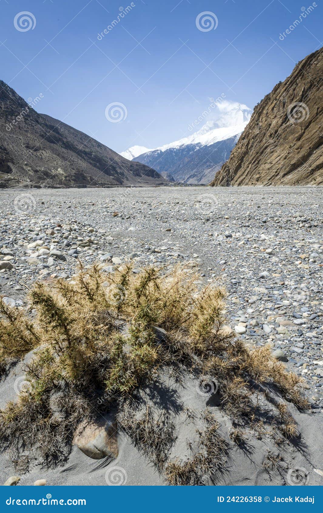 Empty Riverbed in Himalaya Mountains Stock Photo - Image of expedition ...