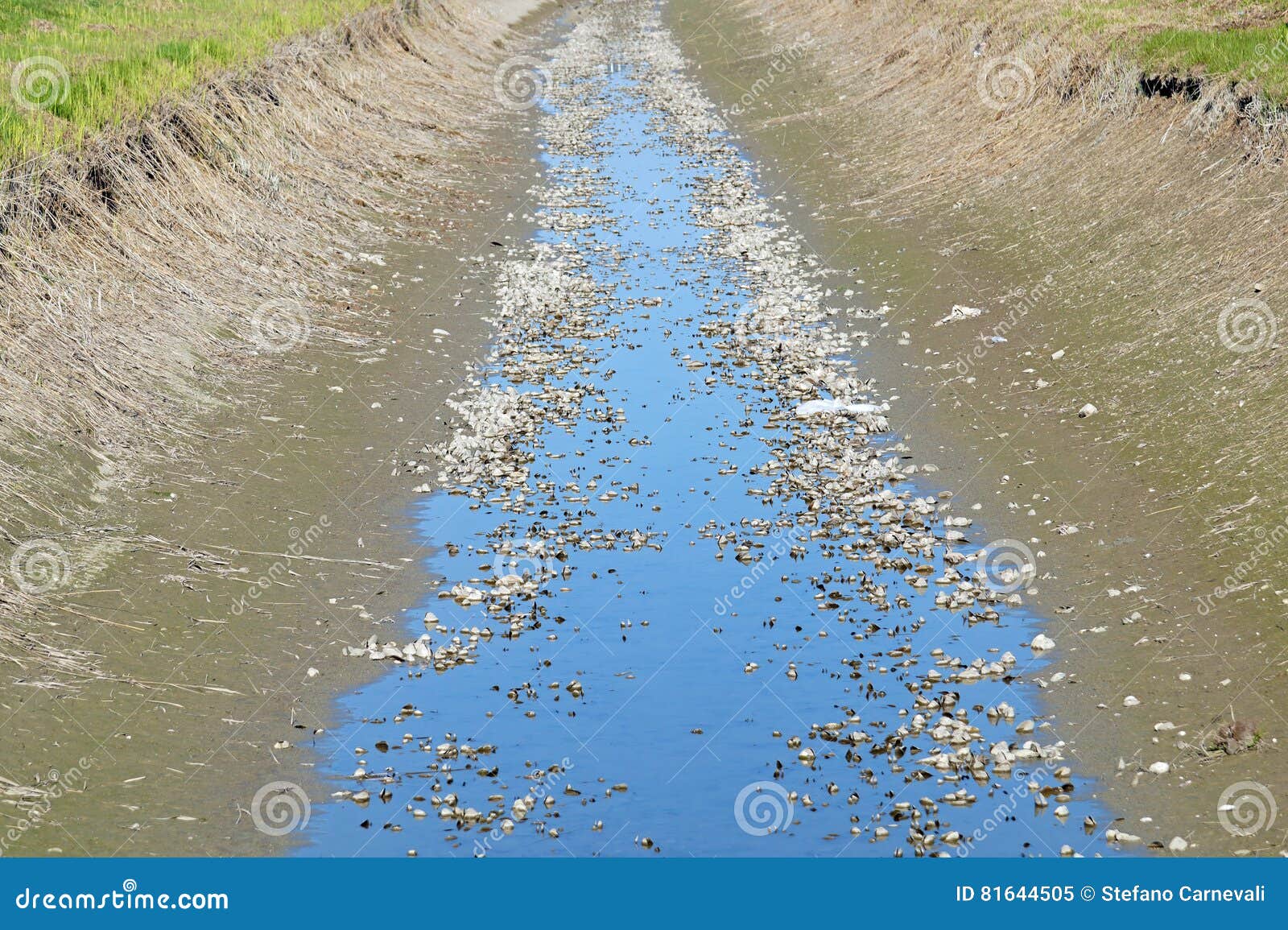 Empty Riverbed Irrigation Ditch without Water . Stock Image - Image of ...