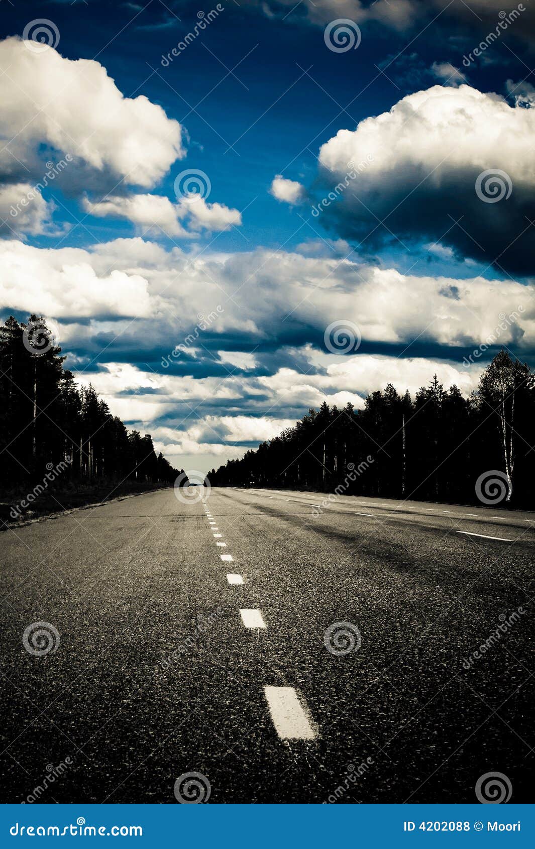 Empty road stock photo. Image of field, travel, straight - 4202088