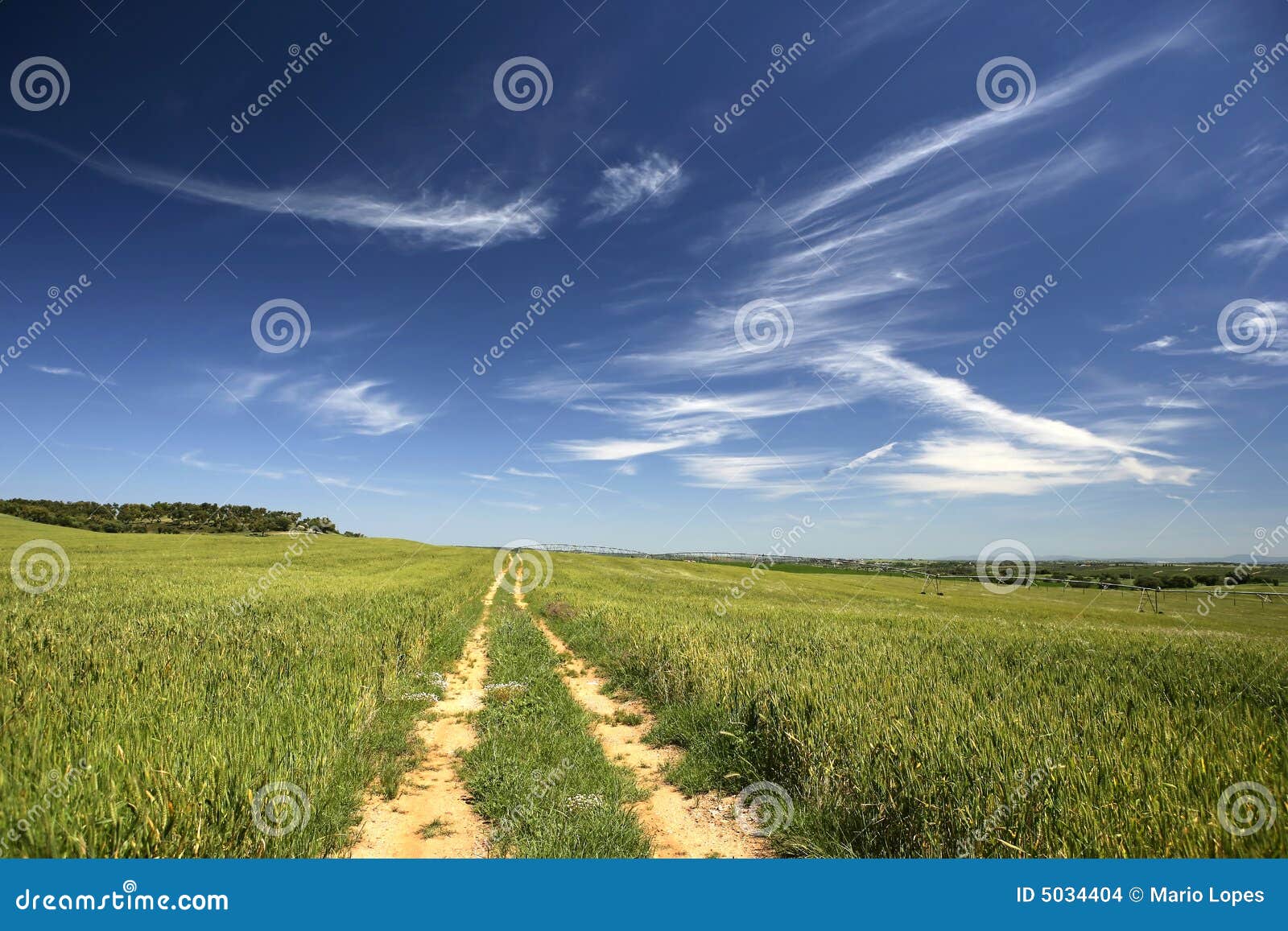 Empty Road in Beautiful Rural Landscape Stock Photo - Image of cloud ...