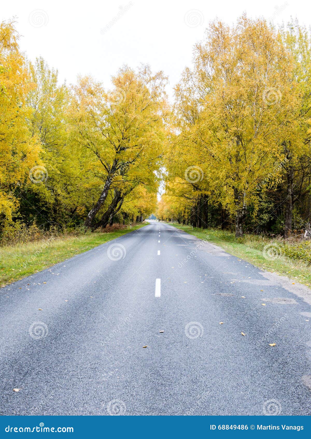 Empty Road in the Countryside in Autumn Stock Photo - Image of season ...