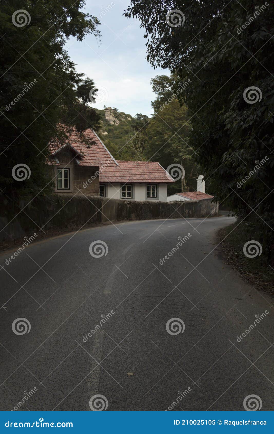 Empty Road with Cute House and Trees on Both Side Stock Image - Image ...