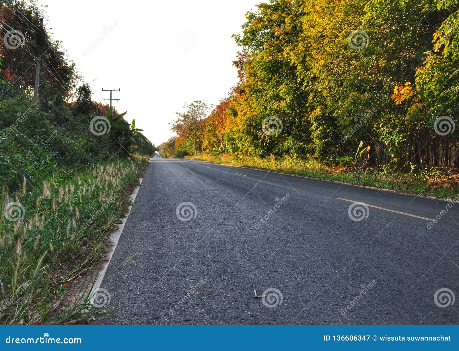 Empty road stock image. Image of street, thailand, tree - 136606347