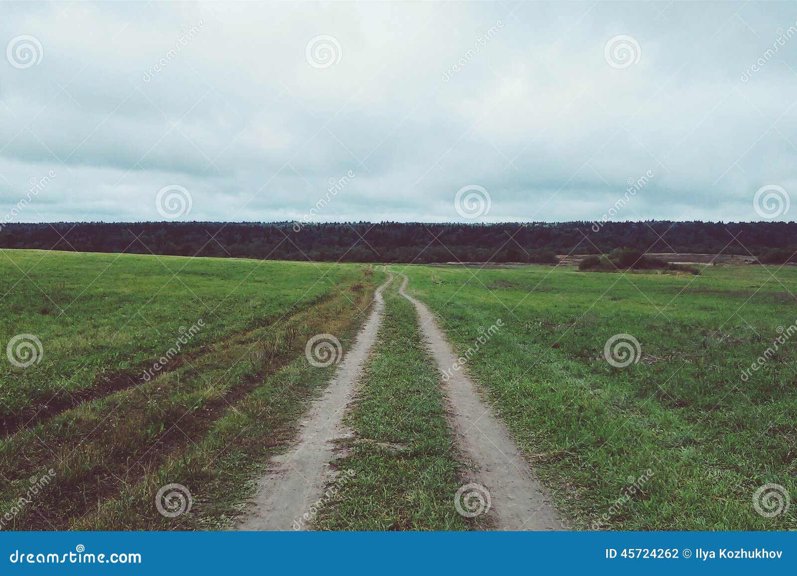 Empty road in field stock photo. Image of country, field - 45724262