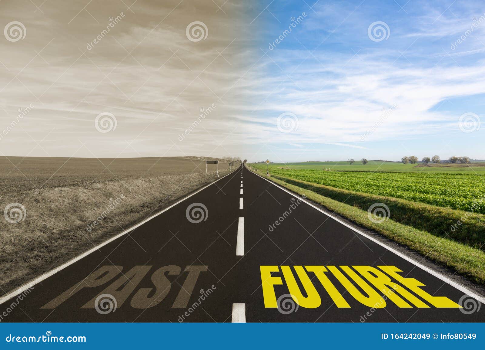 Empty Road in a Field with Past and Future Looks Stock Image - Image of ...