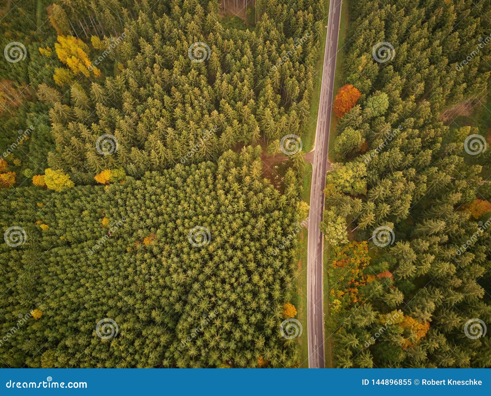 Empty Road through Forest from Above Stock Image - Image of tourism ...