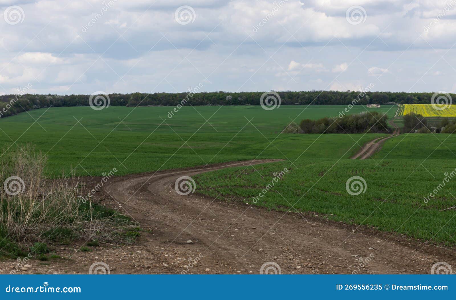 An Empty Road Going Forward between a Green and Plowed Field with Trees ...