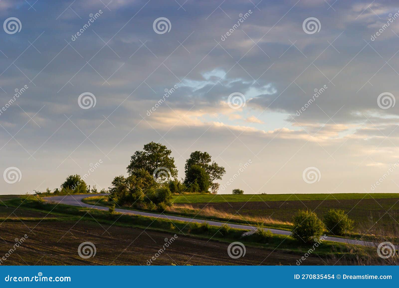 An Empty Road Going Forward between a Green and Plowed Field with Trees ...