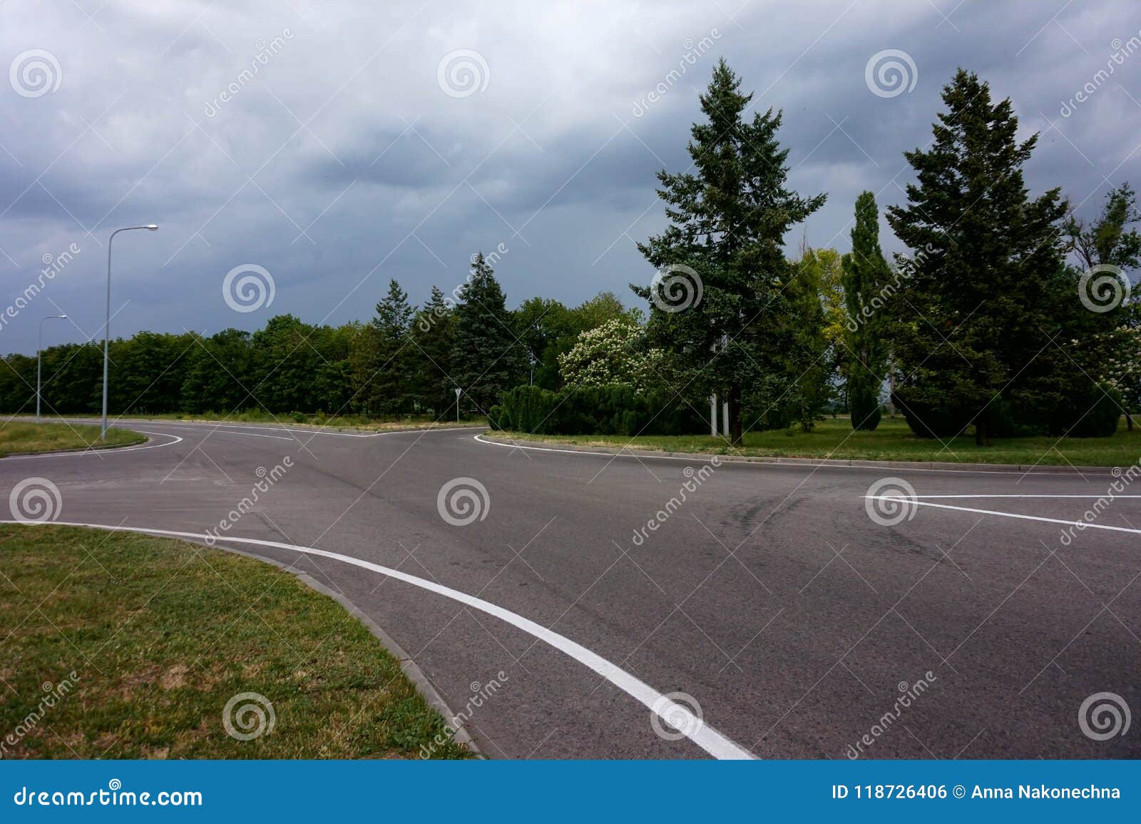 An Empty Road Intersection and Trees Growing Along it in a Gloomy ...