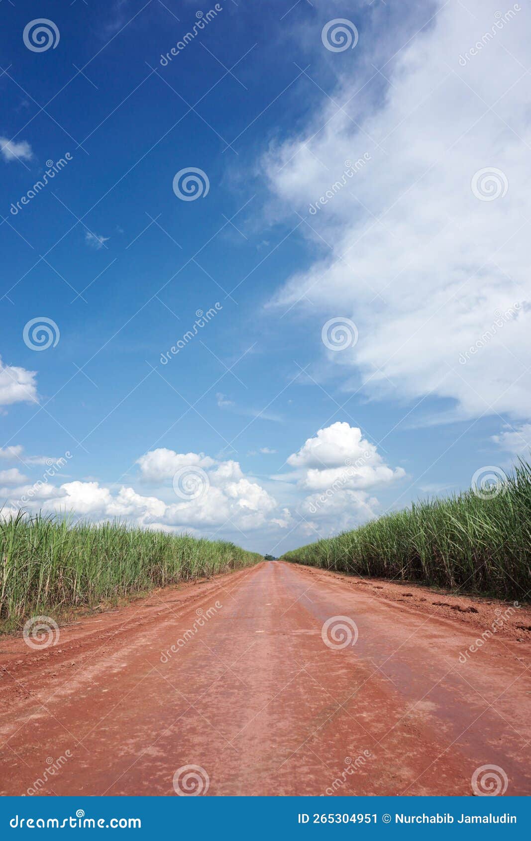 Empty Sugarcane Bins Royalty-Free Stock Photography | CartoonDealer.com ...