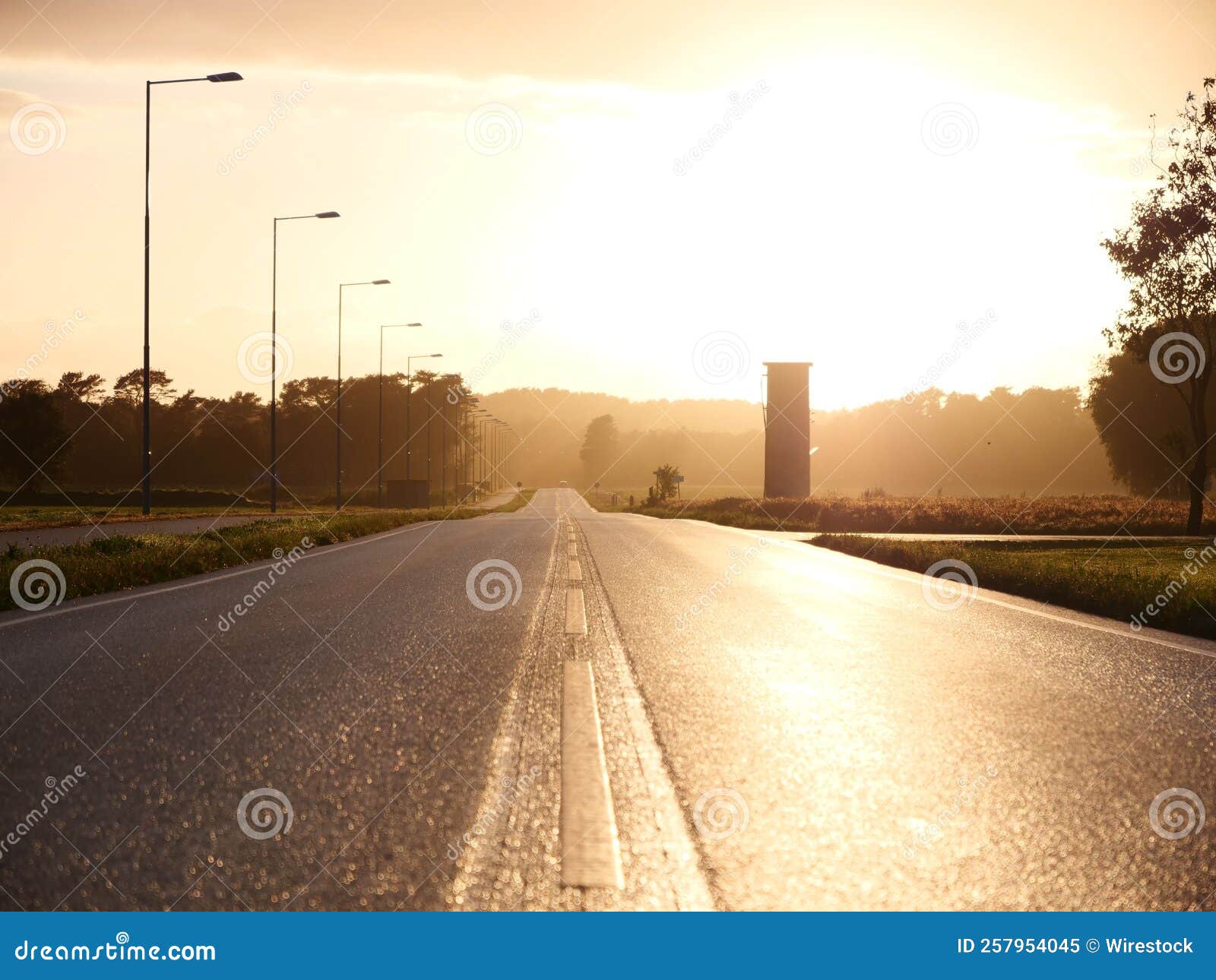 Empty Road Passing through Fields at Sunset Stock Image - Image of ...