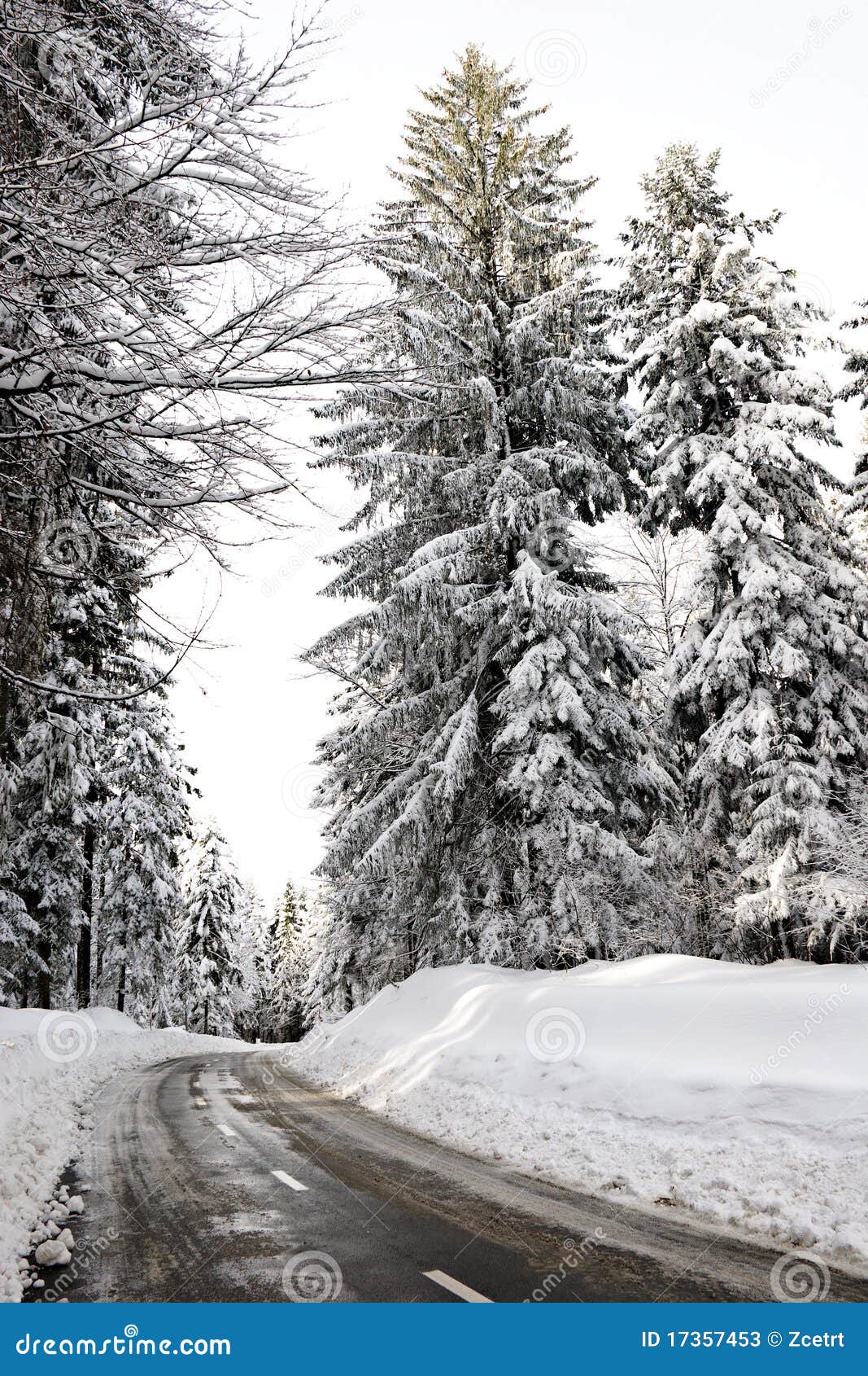 Empty Road in the Snowbound Wood Stock Image - Image of road, scenic ...