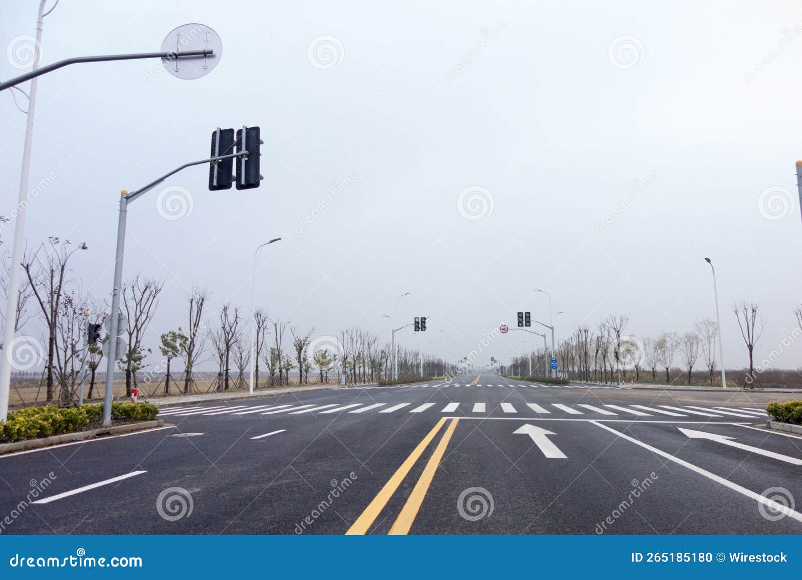 Empty Road with Traffic Lights and Crosswalks Against the Background of ...