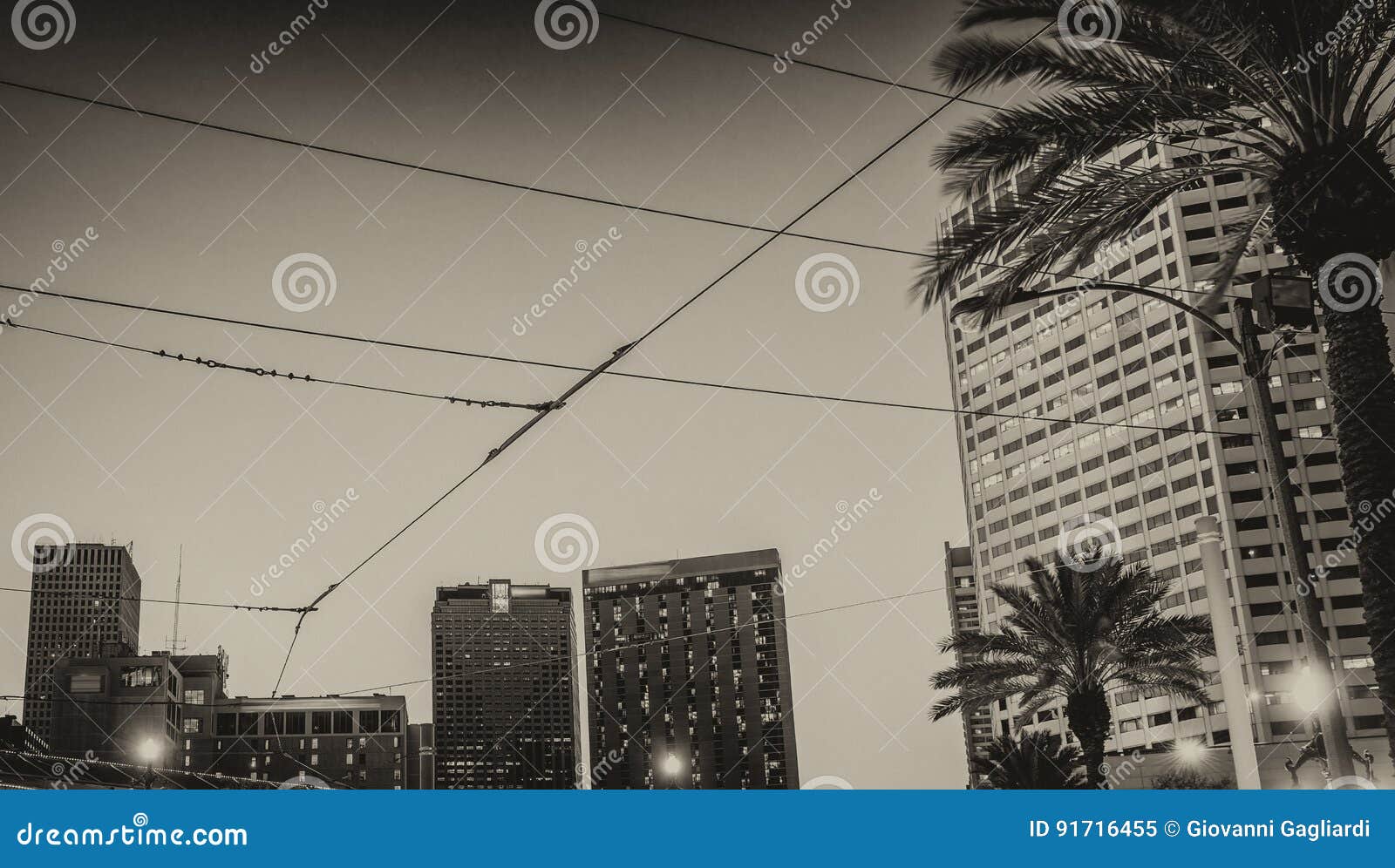 Empty Roads after Mardi Gras Parade, New Orleans Stock Image - Image of ...