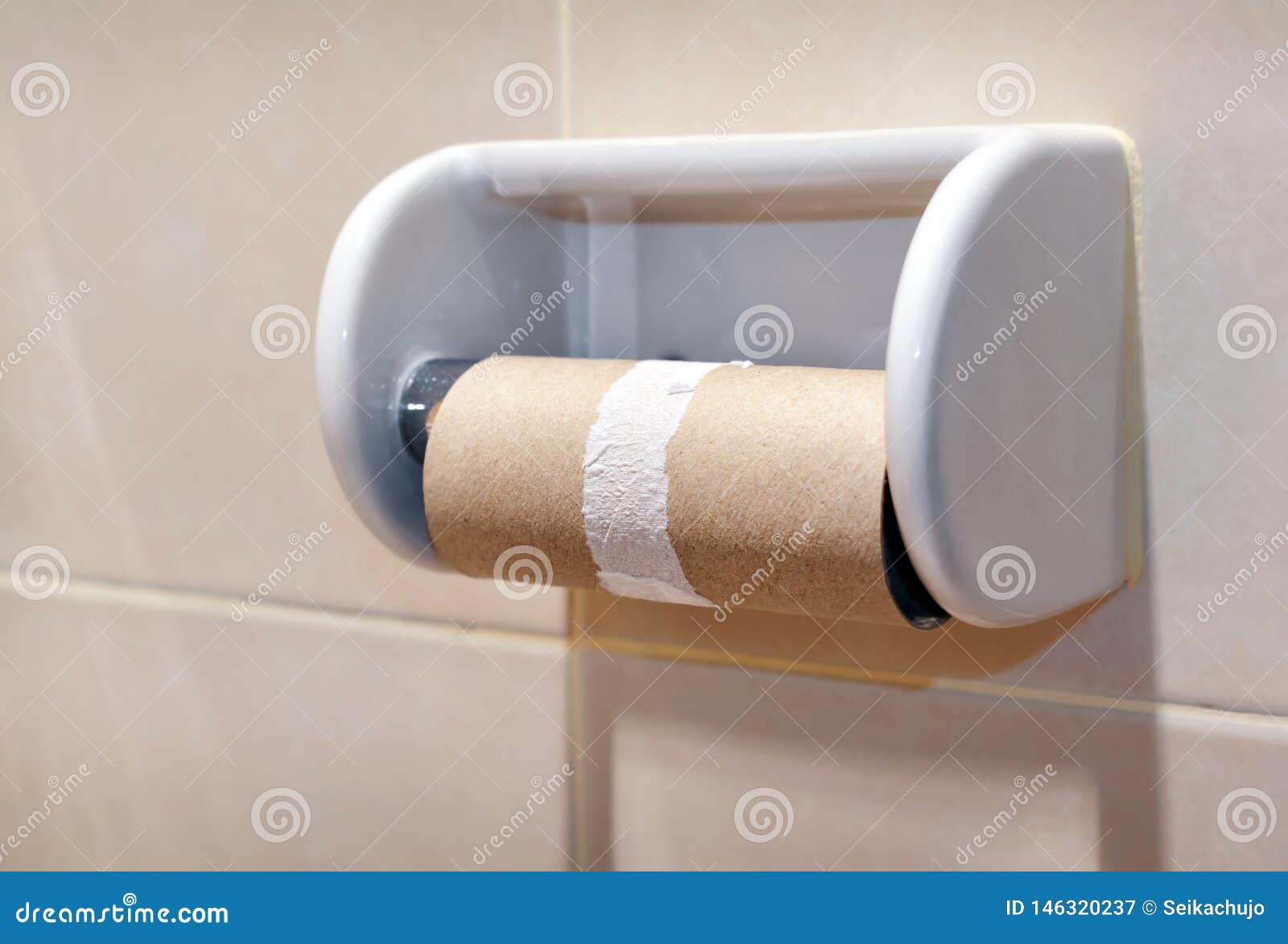 Empty Role of Toilet Paper in the Restroom Stock Image - Image of ...
